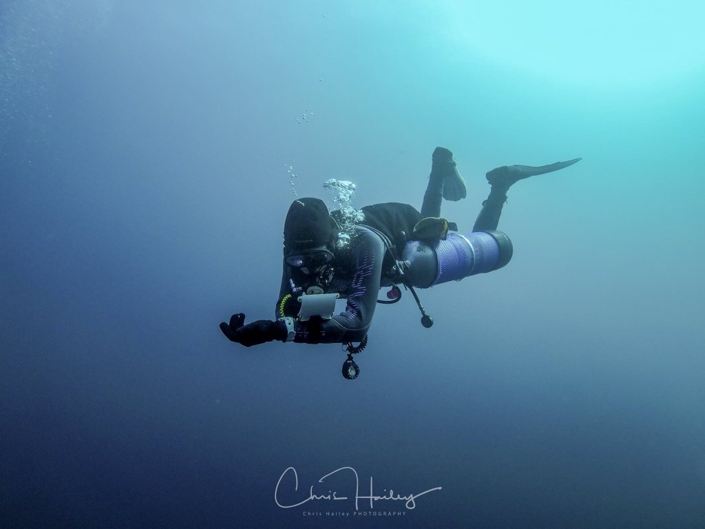An Interview with Ryan Hooper | Auckland Scuba Dive