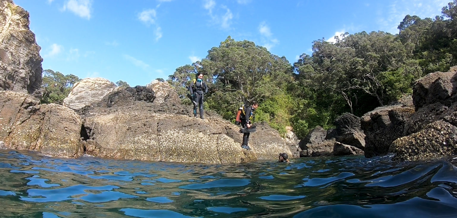 Dive shops and gear Auckland | Scuba diving courses and certification ...